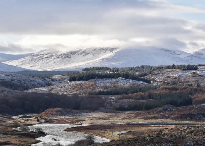 Dunan Estate Stalking